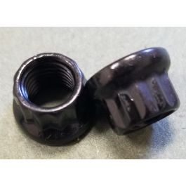 GX 12 point nut